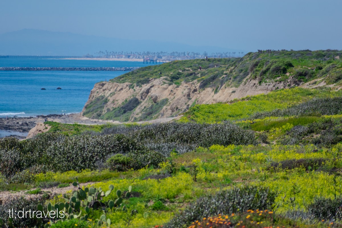 The Must-Visit Coastal Vacation Spot: A Local’s Guide to Crystal Cove ...