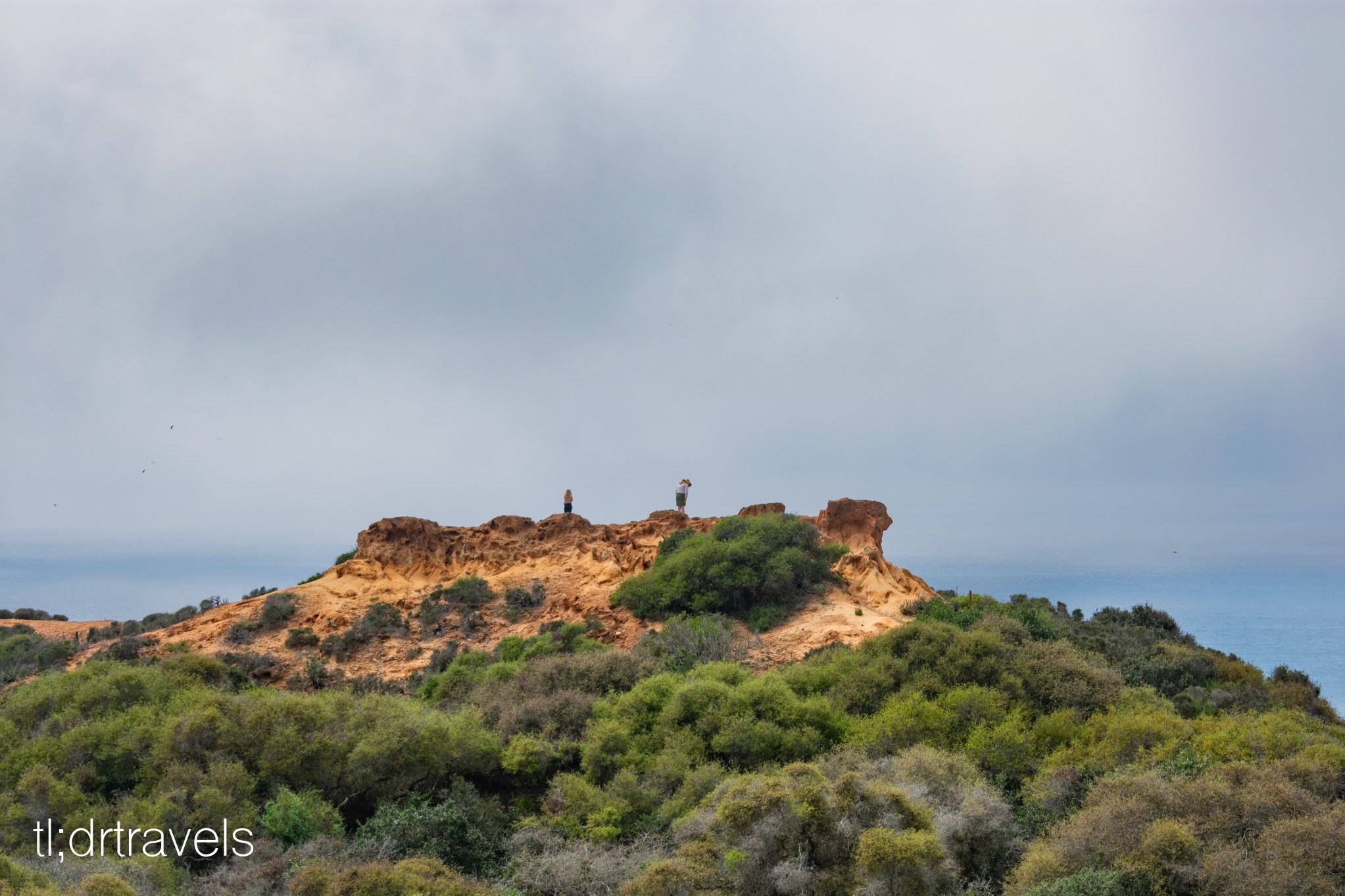 Plan Your Visit to Torrey Pines: Parking, Logistics, and Things to Do ...