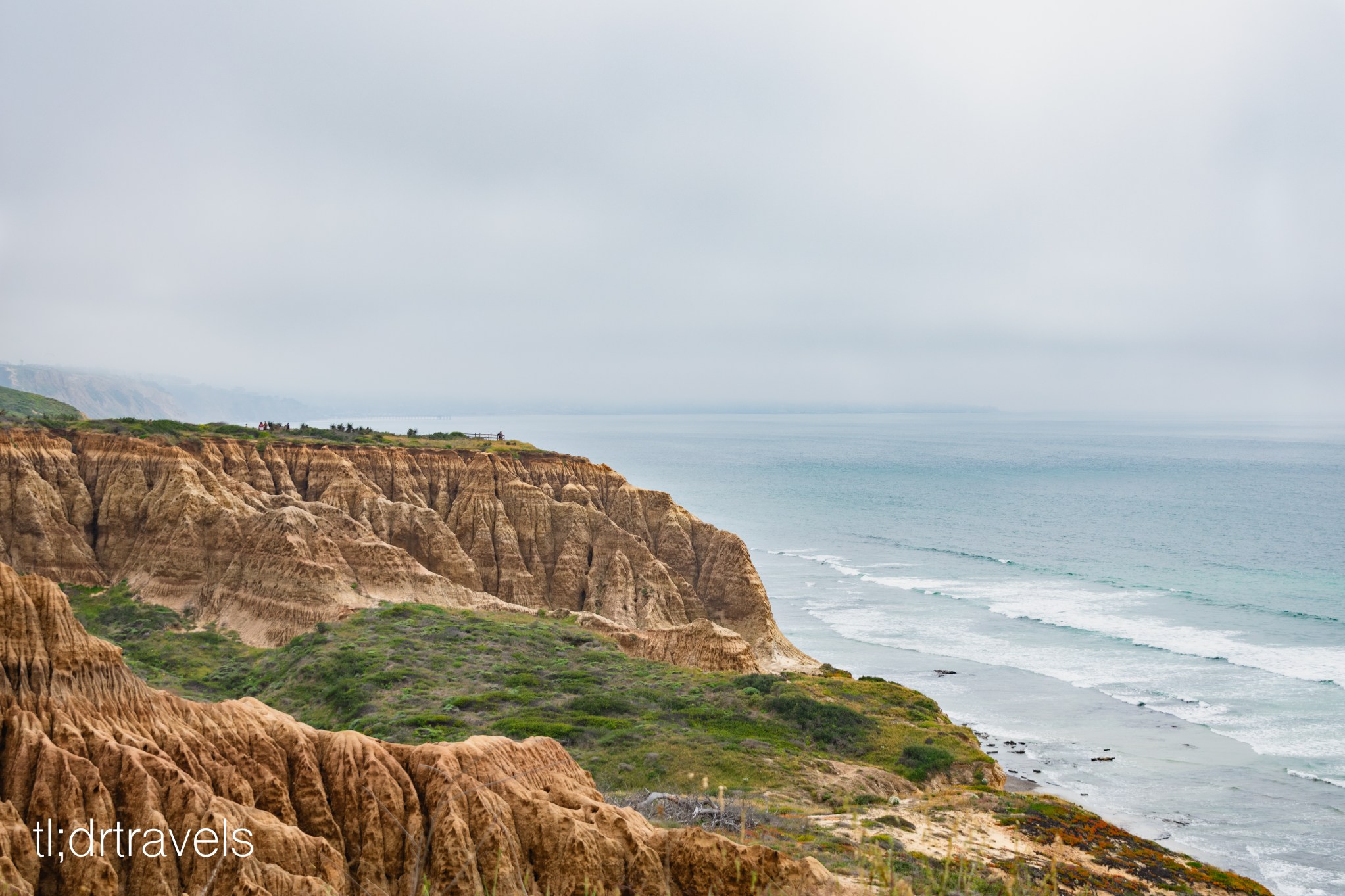 Plan Your Visit to Torrey Pines: Parking, Logistics, and Things to Do ...