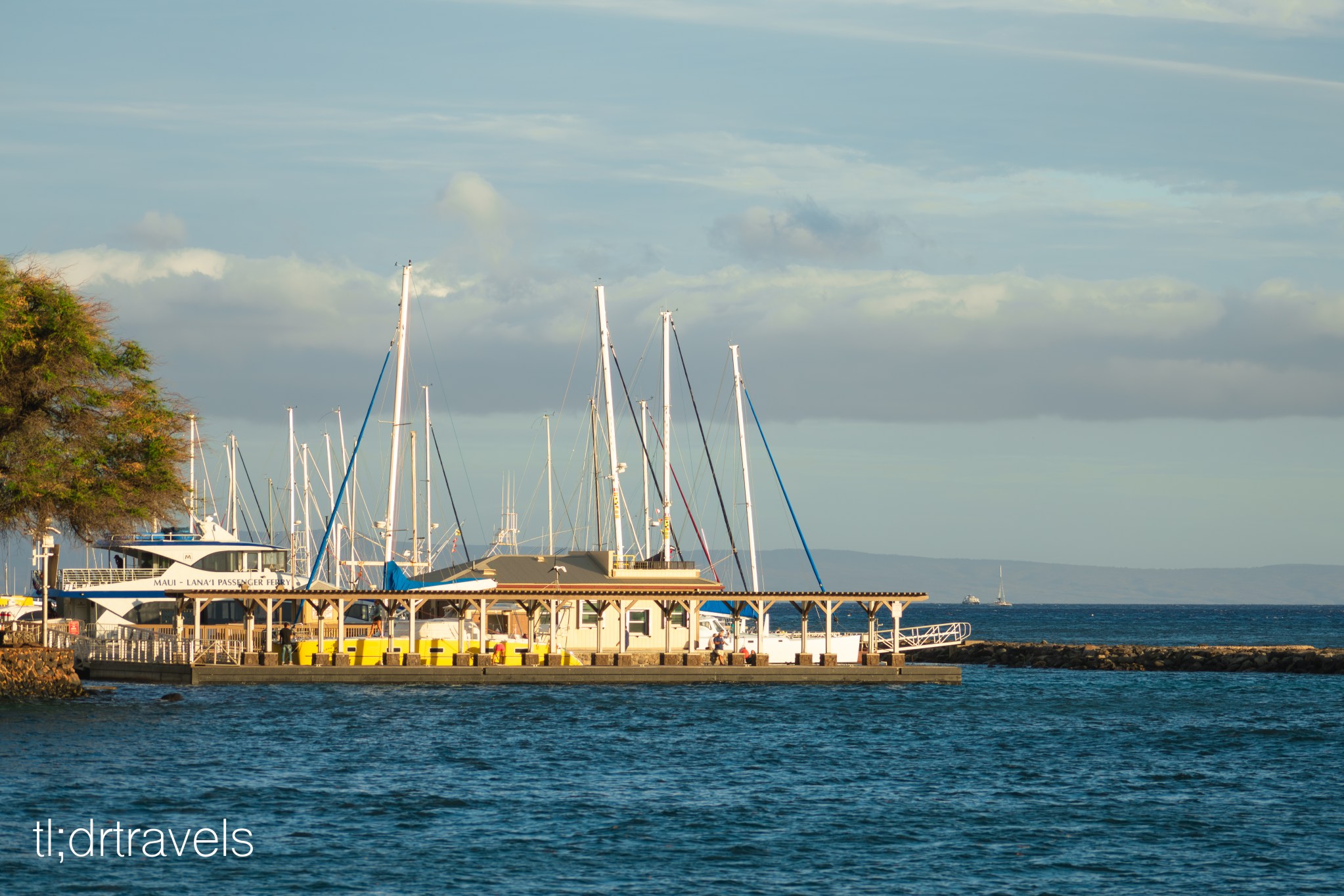 Lahaina’s Rich Heritage: Captured Moments Pre-Maui 2023 Wildfires – TL ...