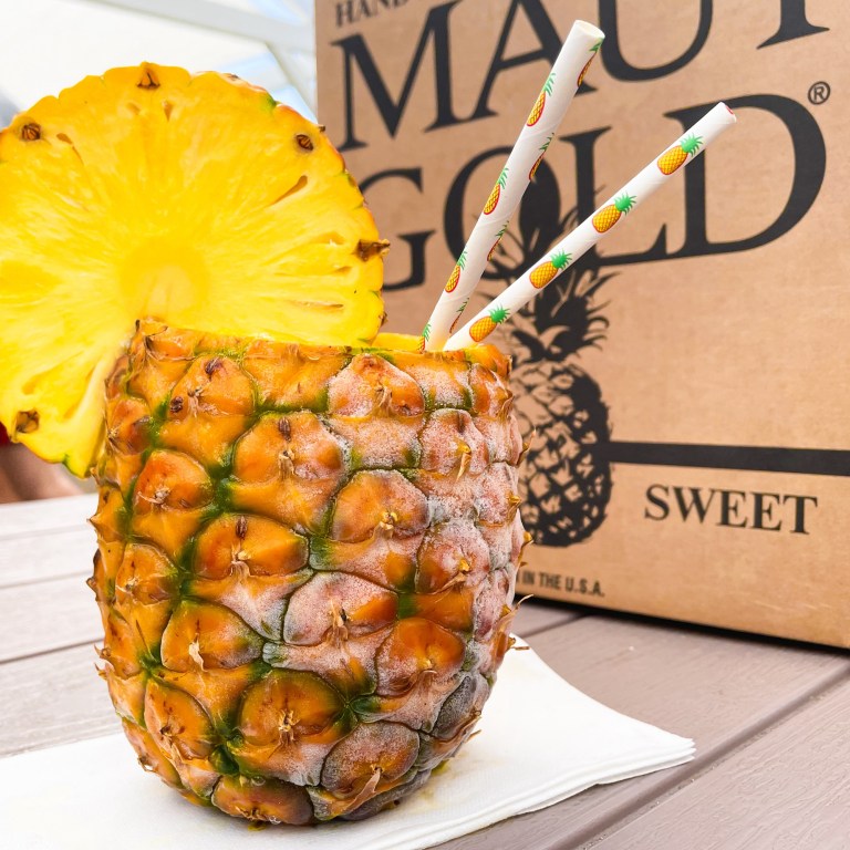 Maui Gold Pineapple Tour: Is It Worth the Experience and Investment ...