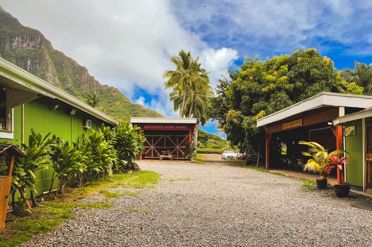 Where to Find Macadamia Nuts in Oahu: The Macadamia Nut Outlet at ...