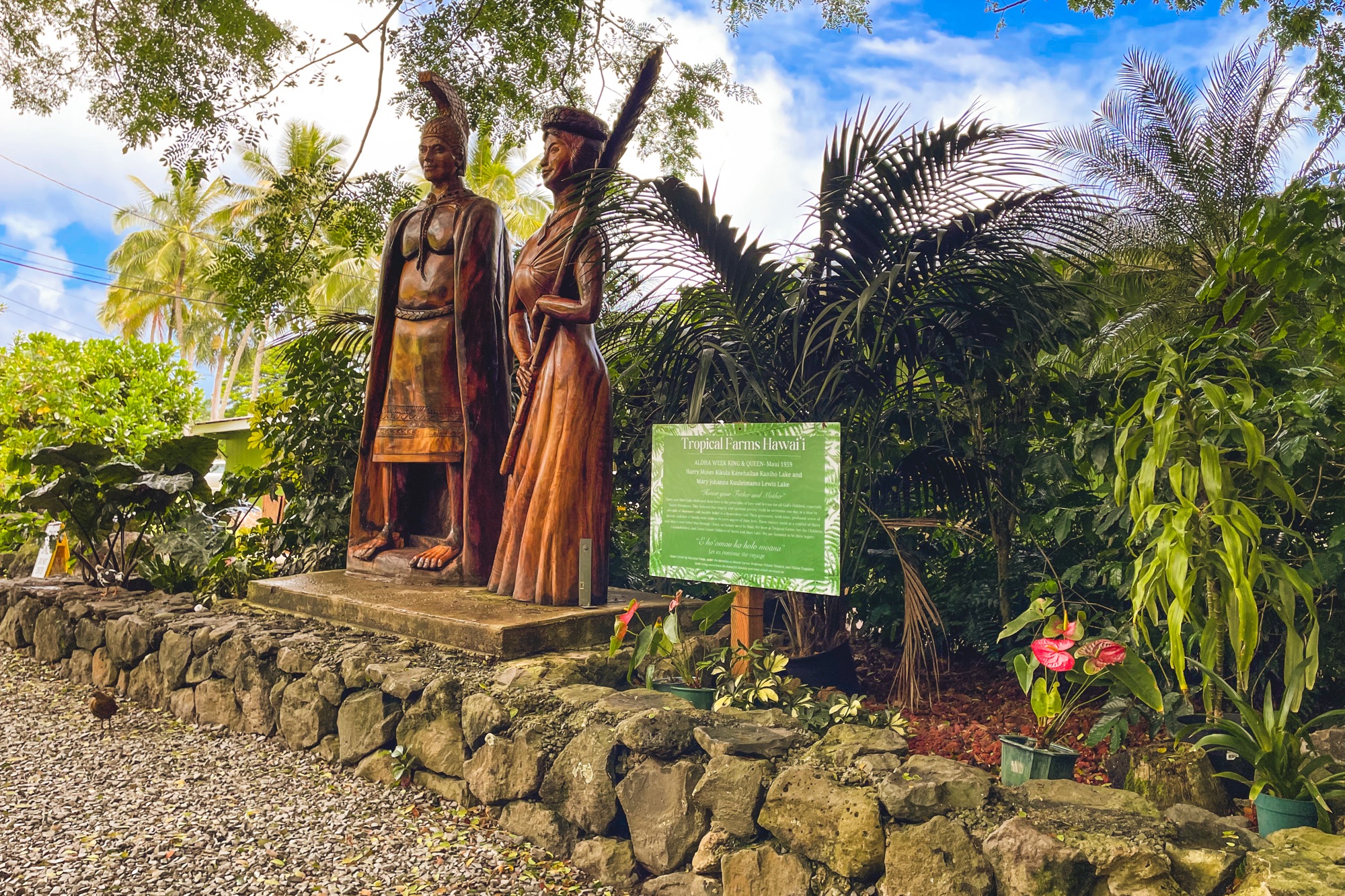 Where to Find Macadamia Nuts in Oahu: The Macadamia Nut Outlet at ...