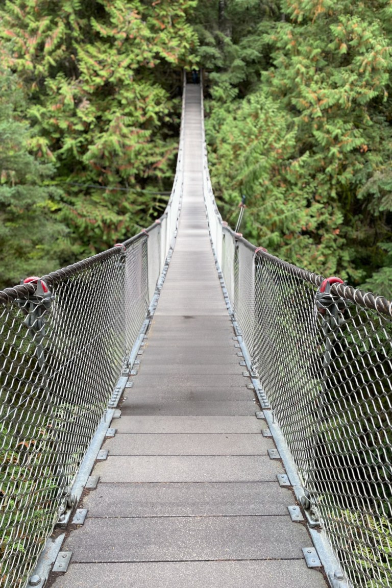 Capilano Suspension Bridge Park V.S. Lynn Canyon: Which Vancouver ...